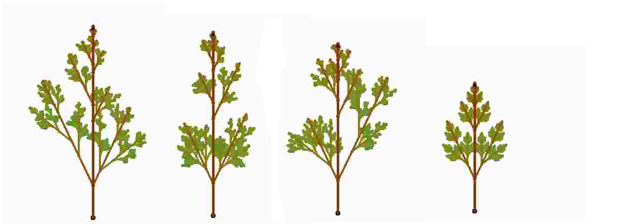 The I.T. Ninja: Python Turtles and Trees