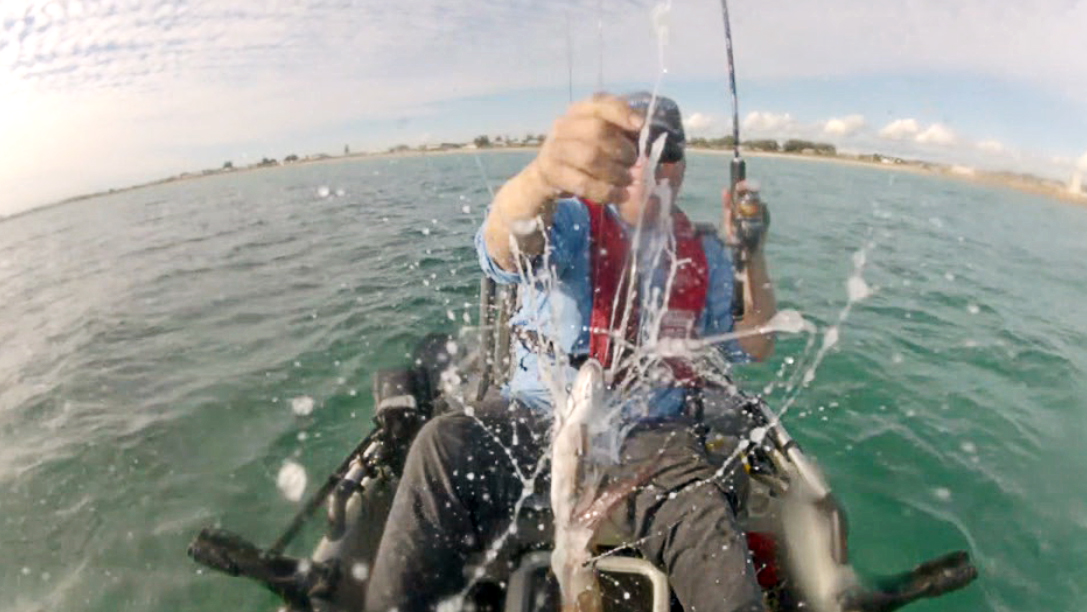kayak Fishing - Love that yak: Squid Fishing in the Hobie Kayak at Wallaroo