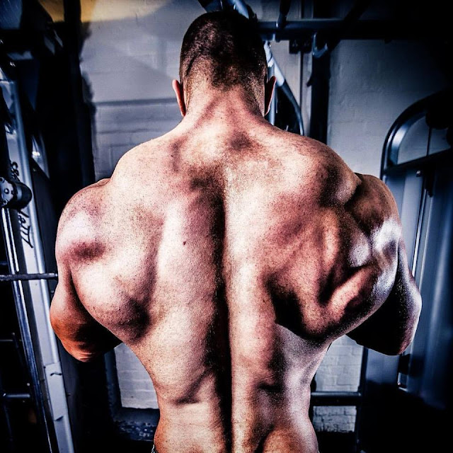 Muscle Lover: Josh Maley