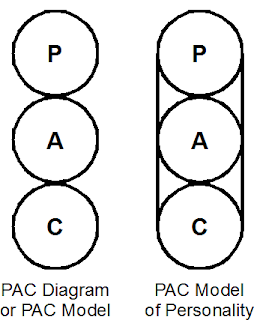 Transactional Analysis for Beginners: 00.02 TA Theory of Personality
