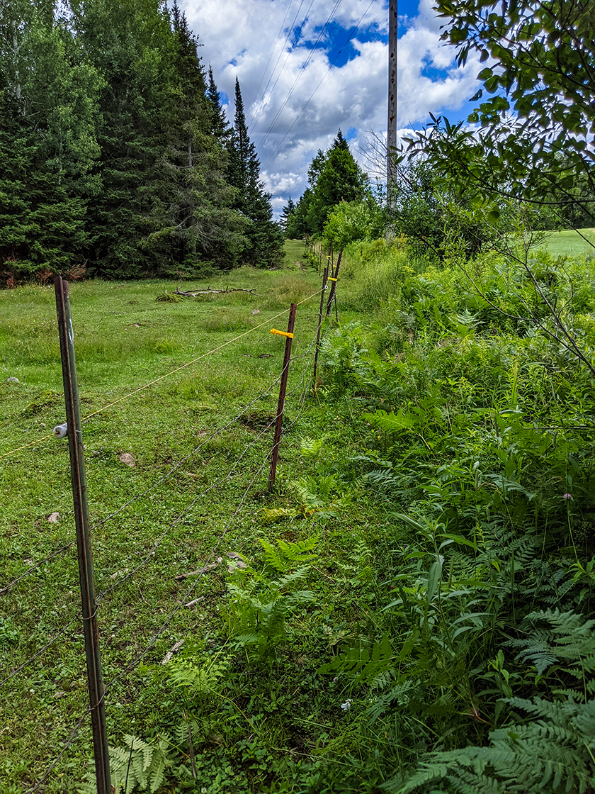 Hiking the Ice Age Trail Pine Line Segment