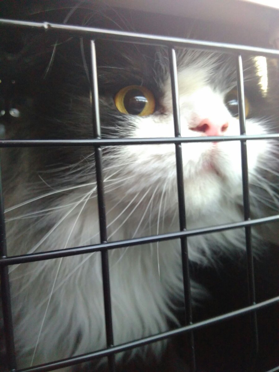 Welcome to our oikos, Hugo! | Baring the Aegis