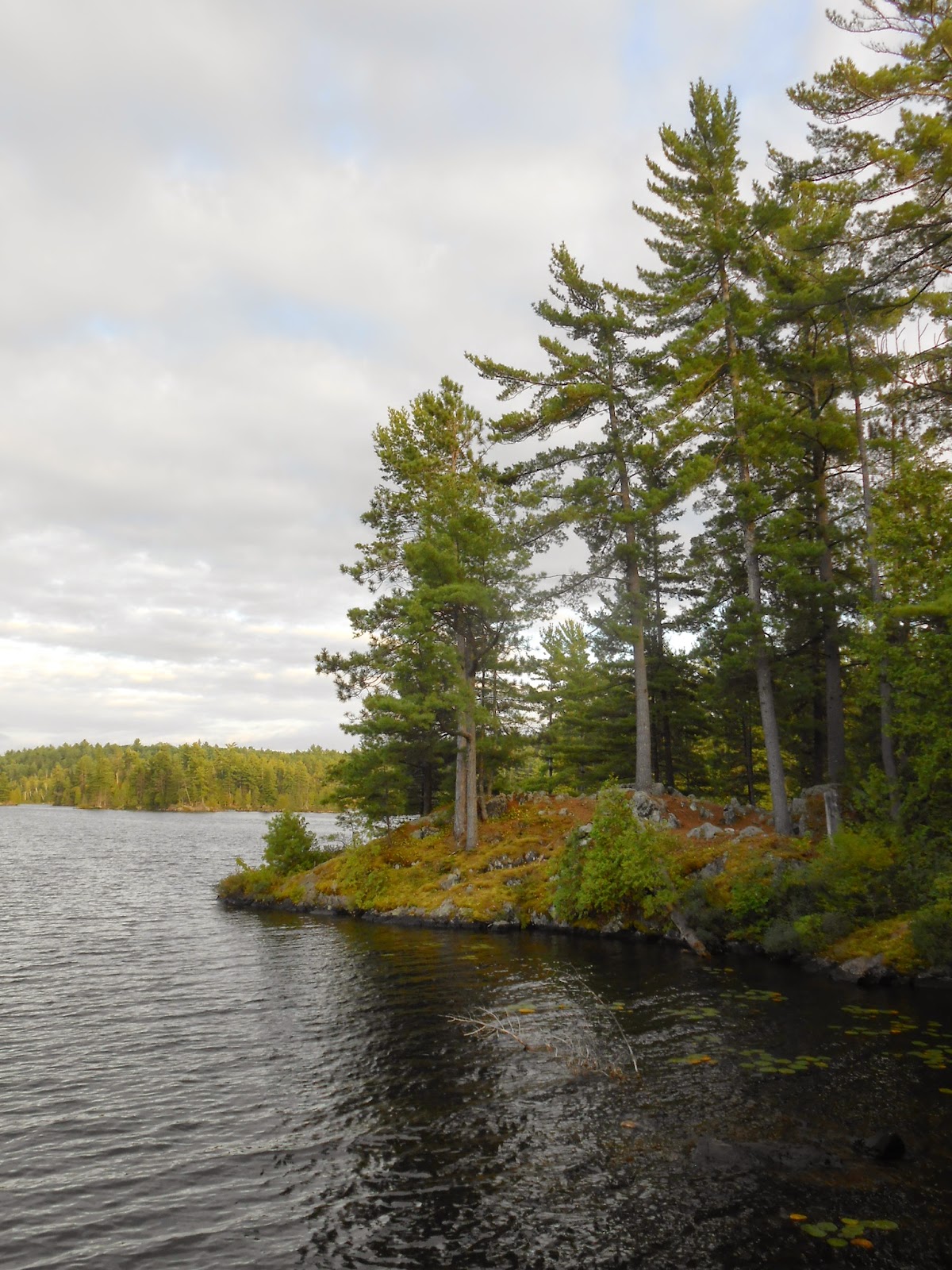 Written Words: August 2014