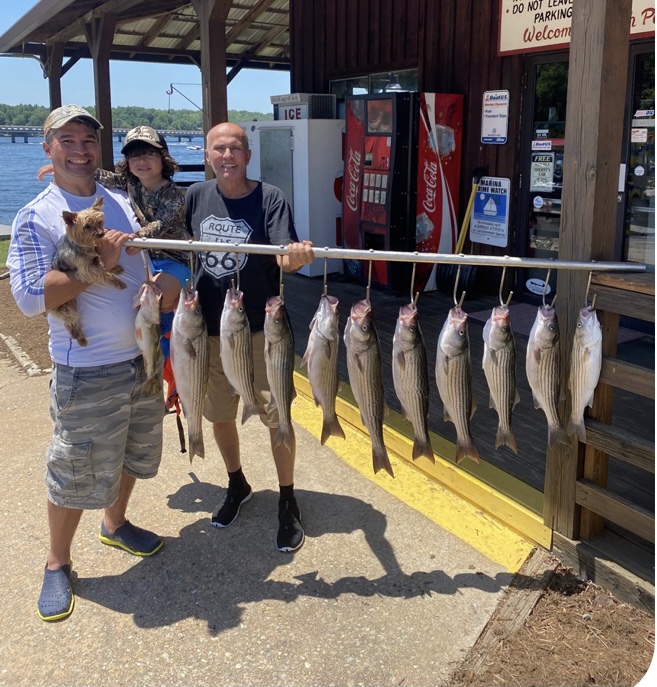 Lake Anna Striper Guide Journal: Lake Anna Fishing is getting Hot!