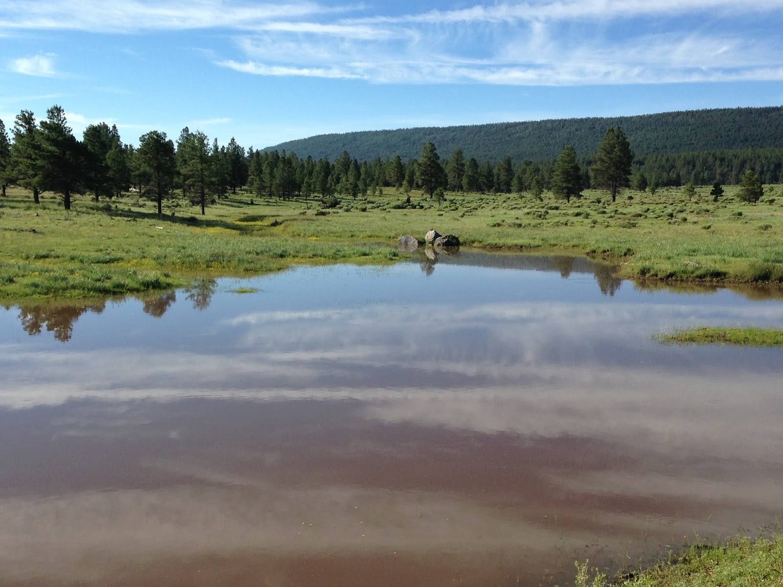 Southern New Mexico Explorer: Diener Falls,Zuni Mountains- Cibola ...