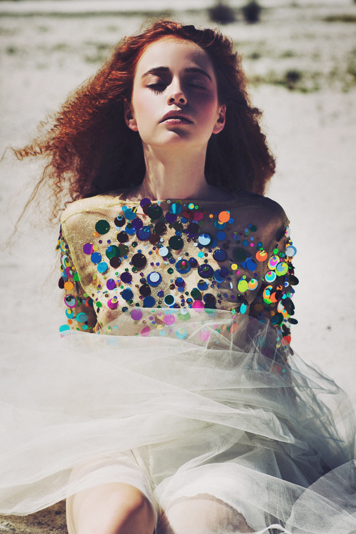 glittering heads dream.: golden bird of the sun.