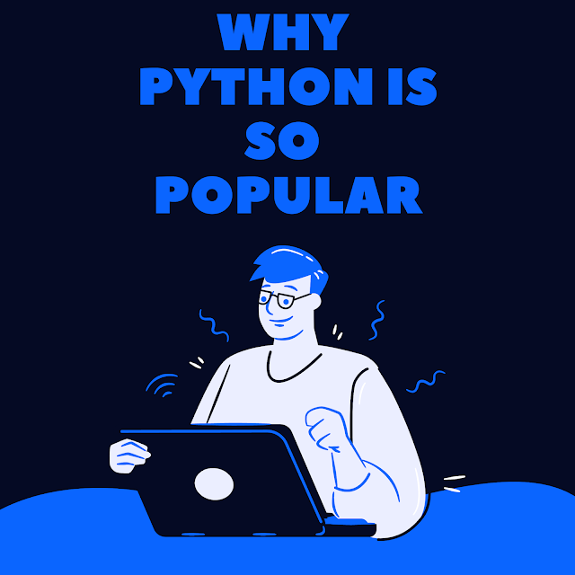 Top 5 Reasons Why Python Is Popular
