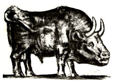 Why Not: A Blog: Picasso's BULL
