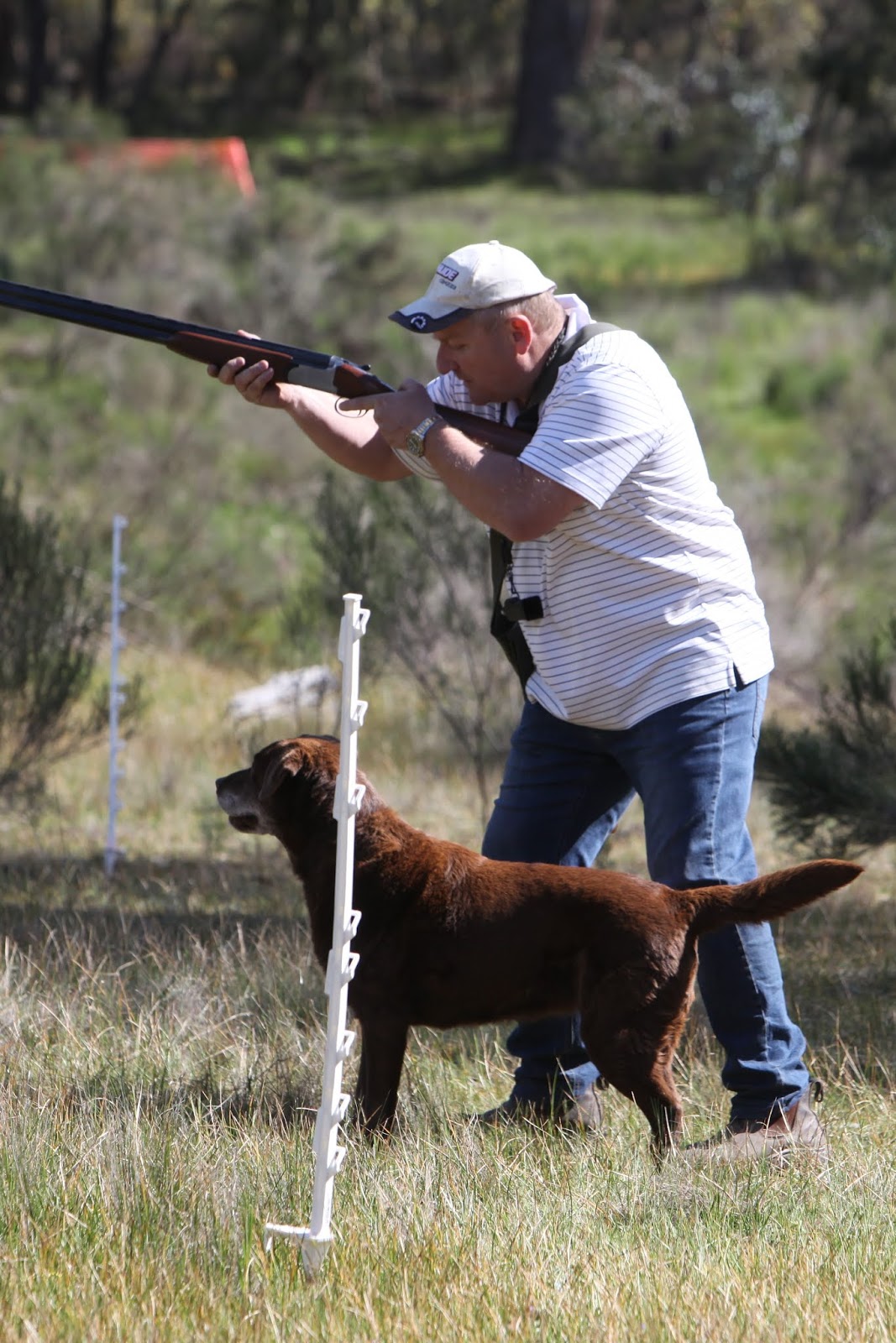 Working Gundog Association of Australia WGAA