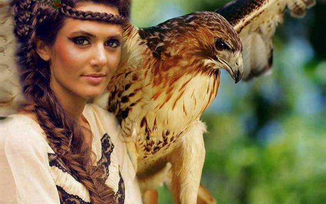 A turul madár - a magyarok mitikus állata