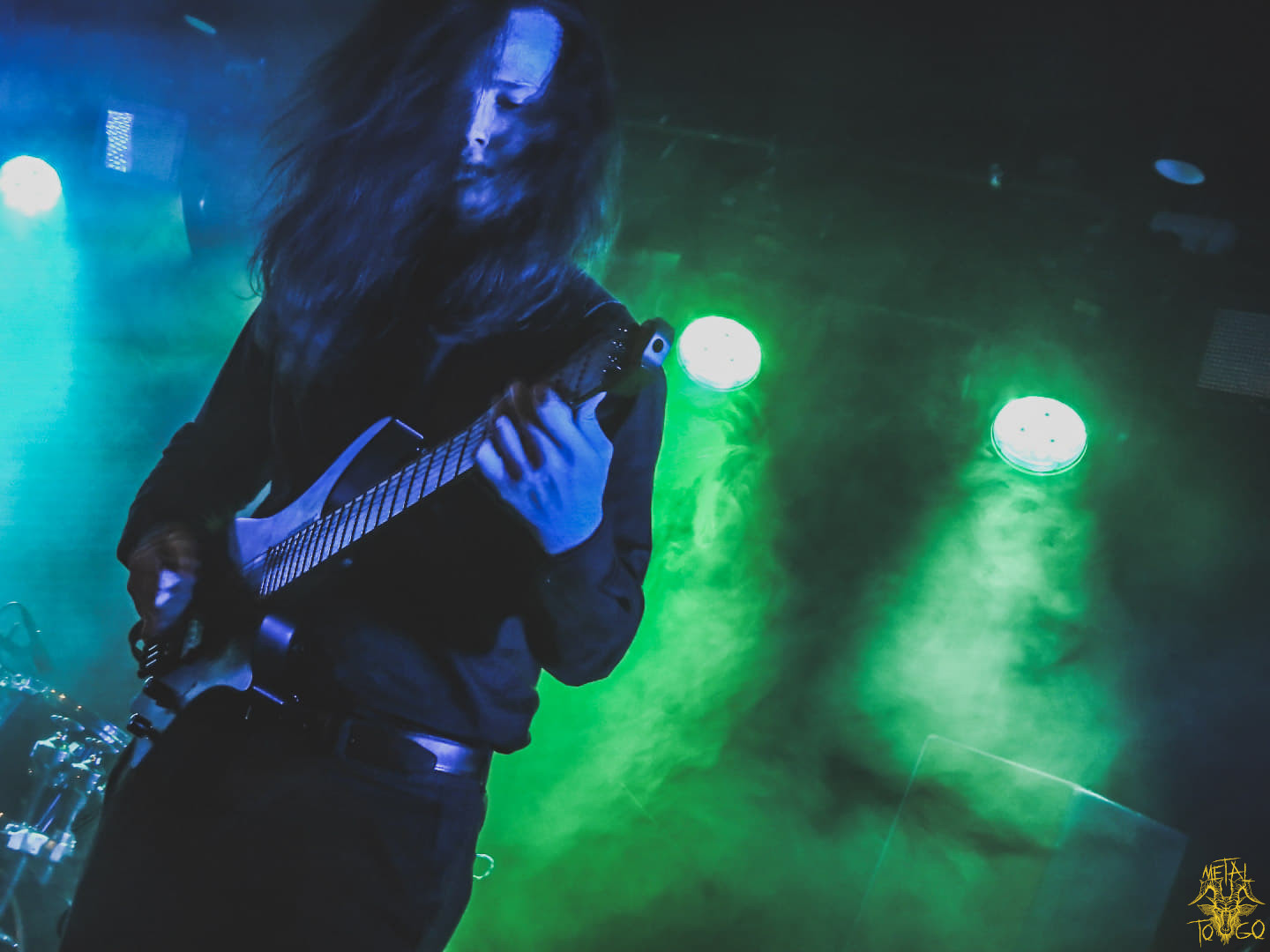 Feather Mountain: Nidus (Album review)