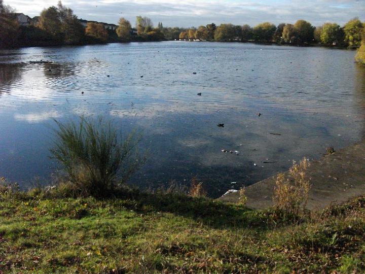 Vinnyman's Birding and Nature Blog.: Witton Lakes and Brookvale Park ...