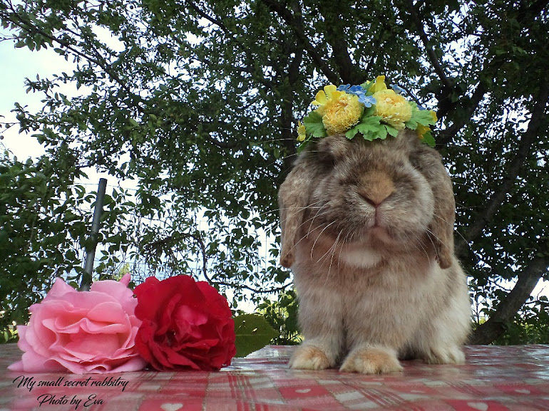 My Small Secret Rabbitry: THE LIONHEAD