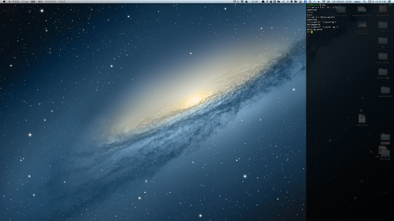 Totalterminal - vectorvirt