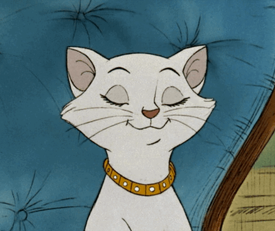 Strengthening For Life: Zen Poetry #1: The Cat in Room 103