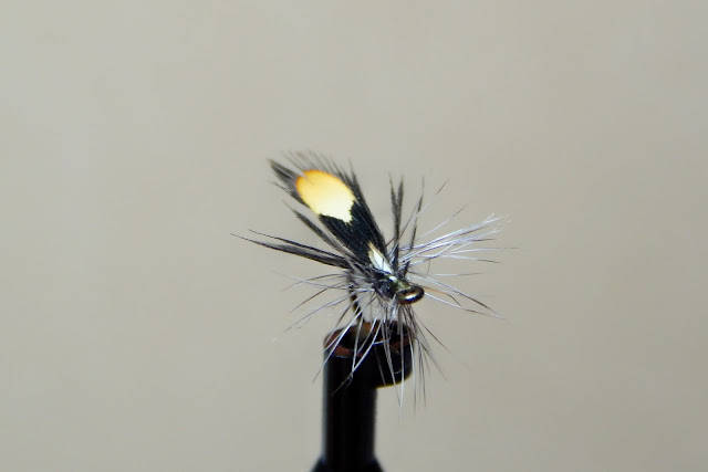 Small Stream Reflections: The "Jassid" a Famous Fly