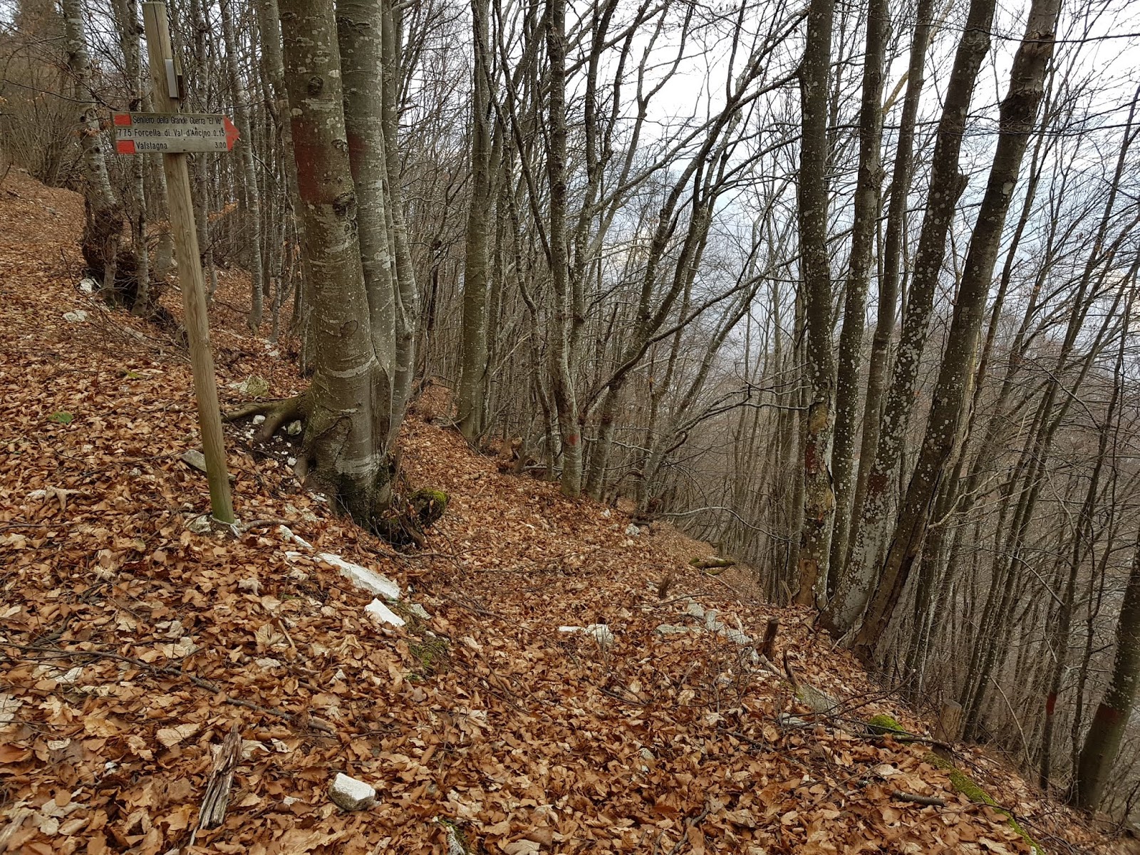 Su strade e sentieri: COL D'ASTIAGO (m. 1.241) - SENTIERO DEL VU - Val ...