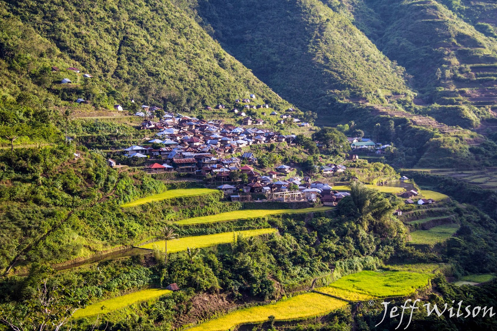 ...and we're gone: Buscalan, Whang-Od, Kalinga, Butbut Tribe