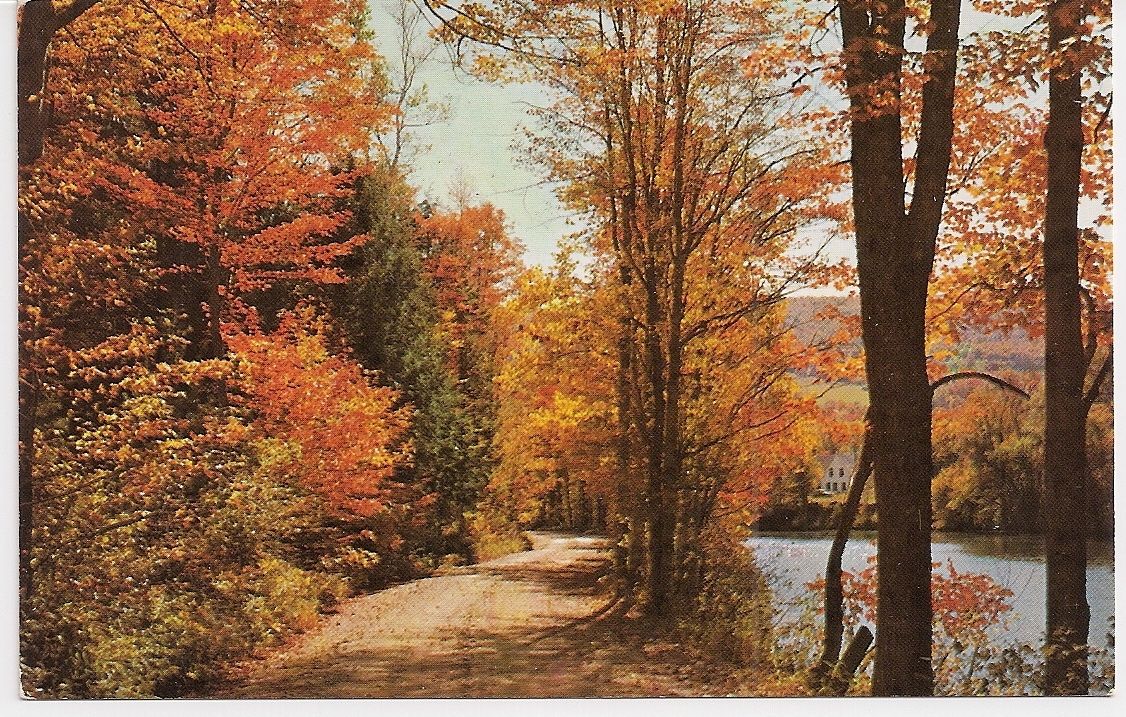 gold country girls: It's Autumn: Sharing Vintage Fall Postcards