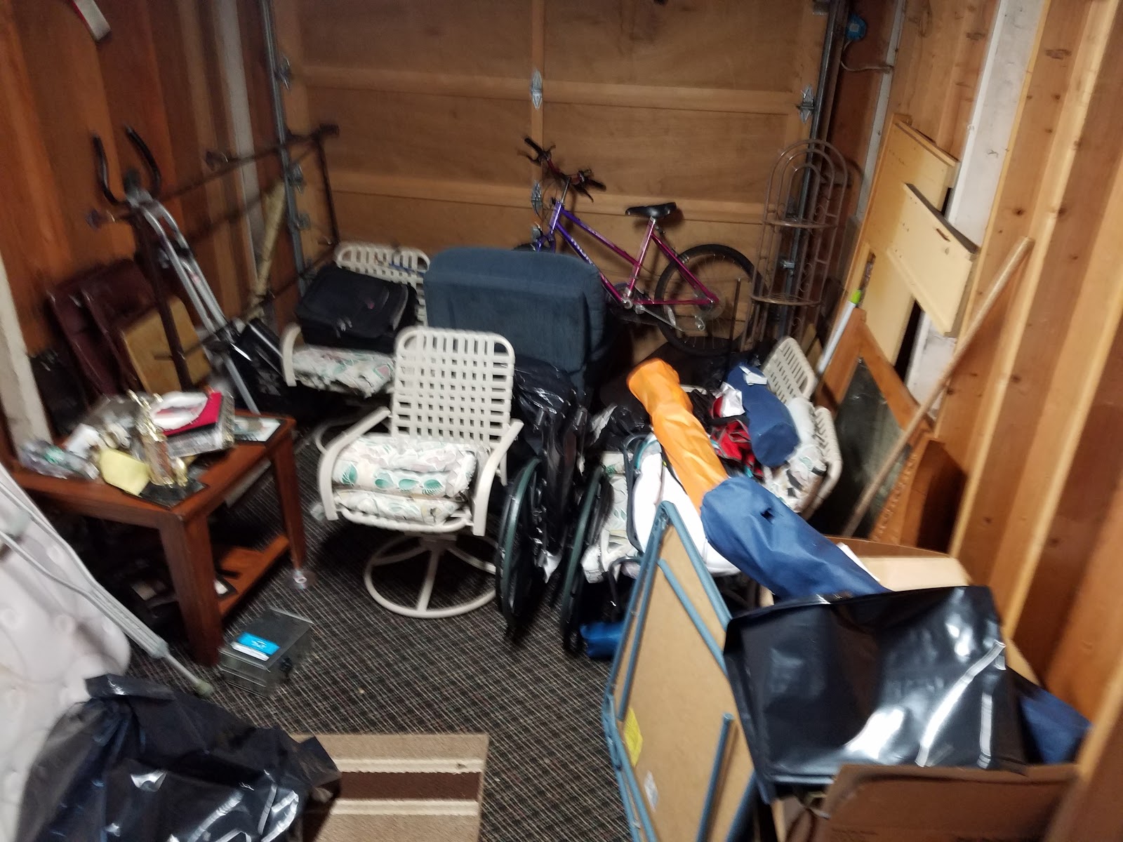 seattle exterminators: How much does it cost to get rid of rats? How ...