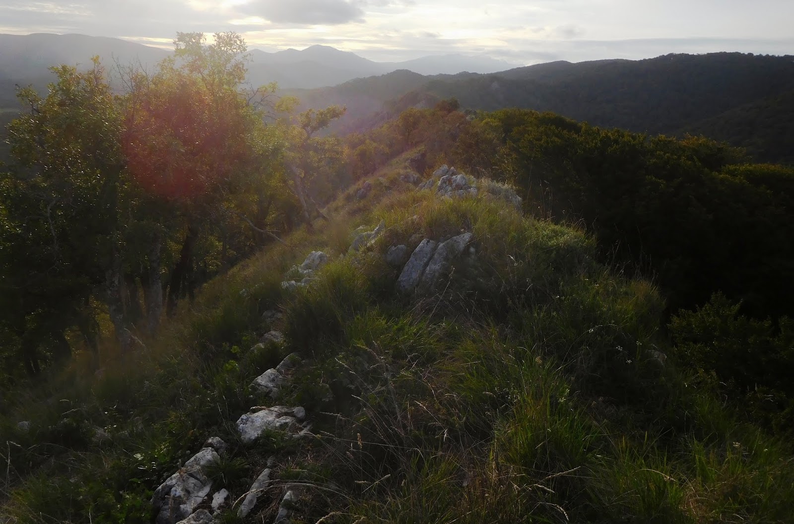 SARABEKO HAITZA desde el VALLE DE SARABE ( URDIAIN ) 159