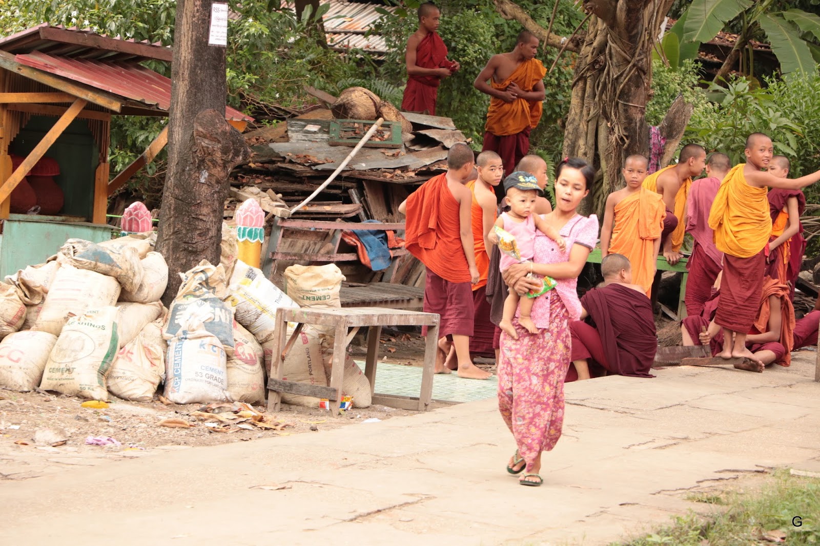 Fotosíntesis: Mirada en Myanmar