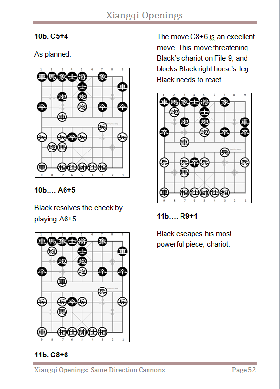Xiangqi Elephant Game: New Xiangqi Book: The basic of Same Direction ...