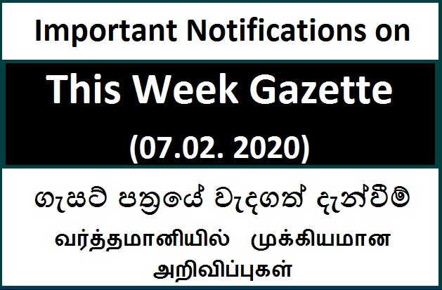 Important Notification On Gazette 07 02 2020 Teacher important-notification-on-gazette-07-02-2020-teacher