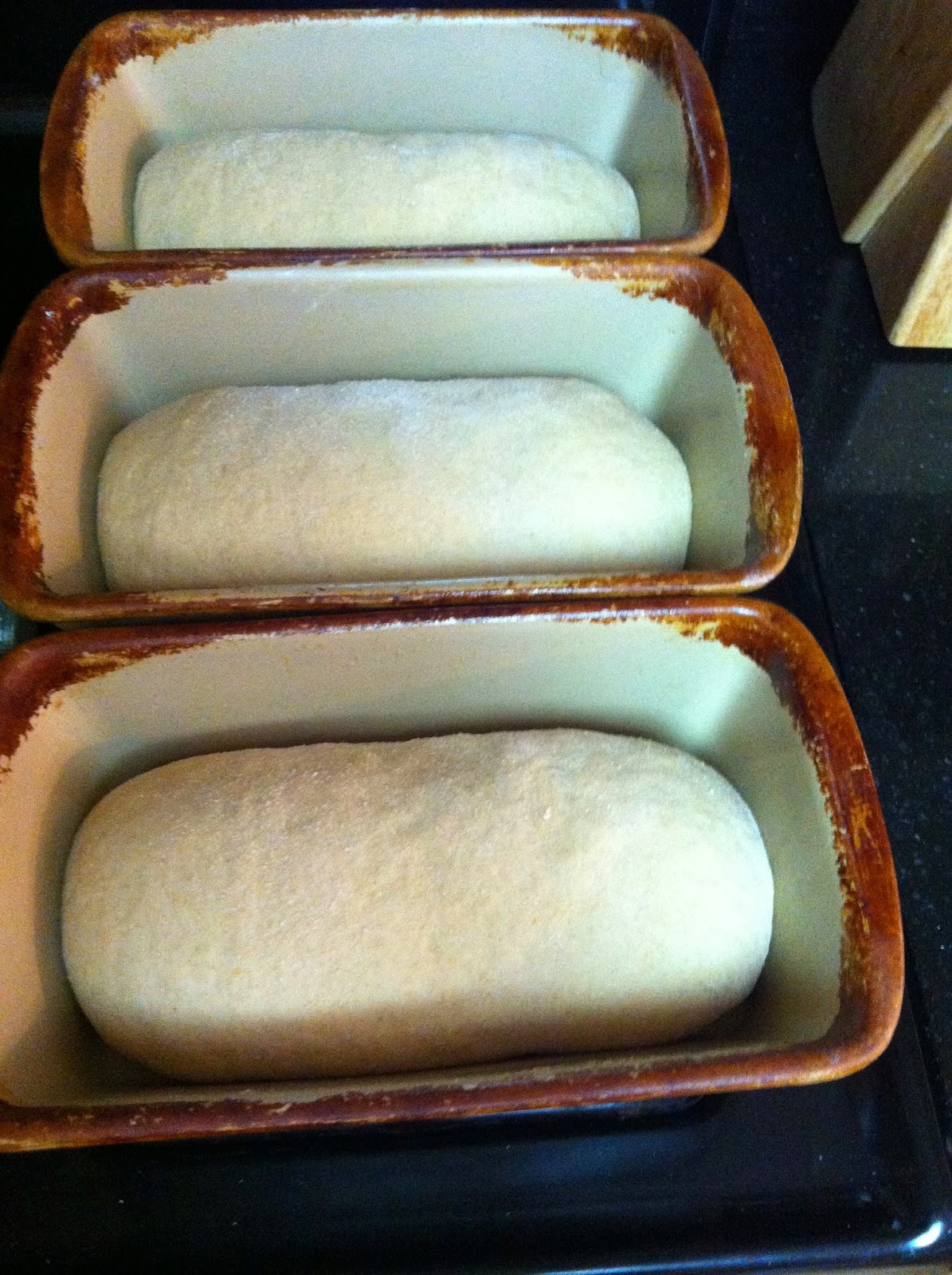 Mormon Mavens in the Kitchen: Easy 100% Whole Wheat Bread