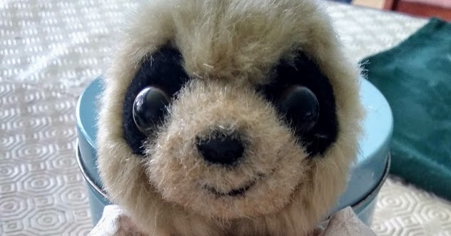 Tracing Rainbows: Meerkats, Masks And Millarorchy