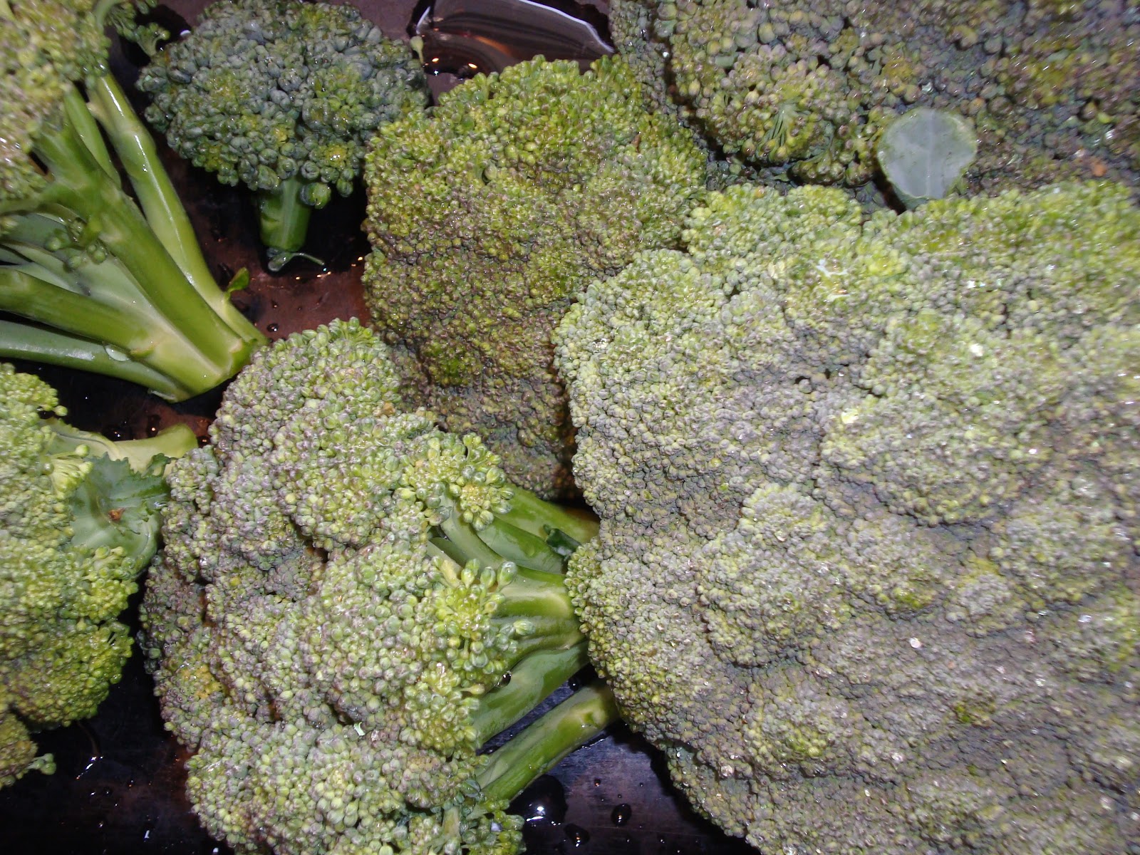 Out Of The Blue: Broccoli