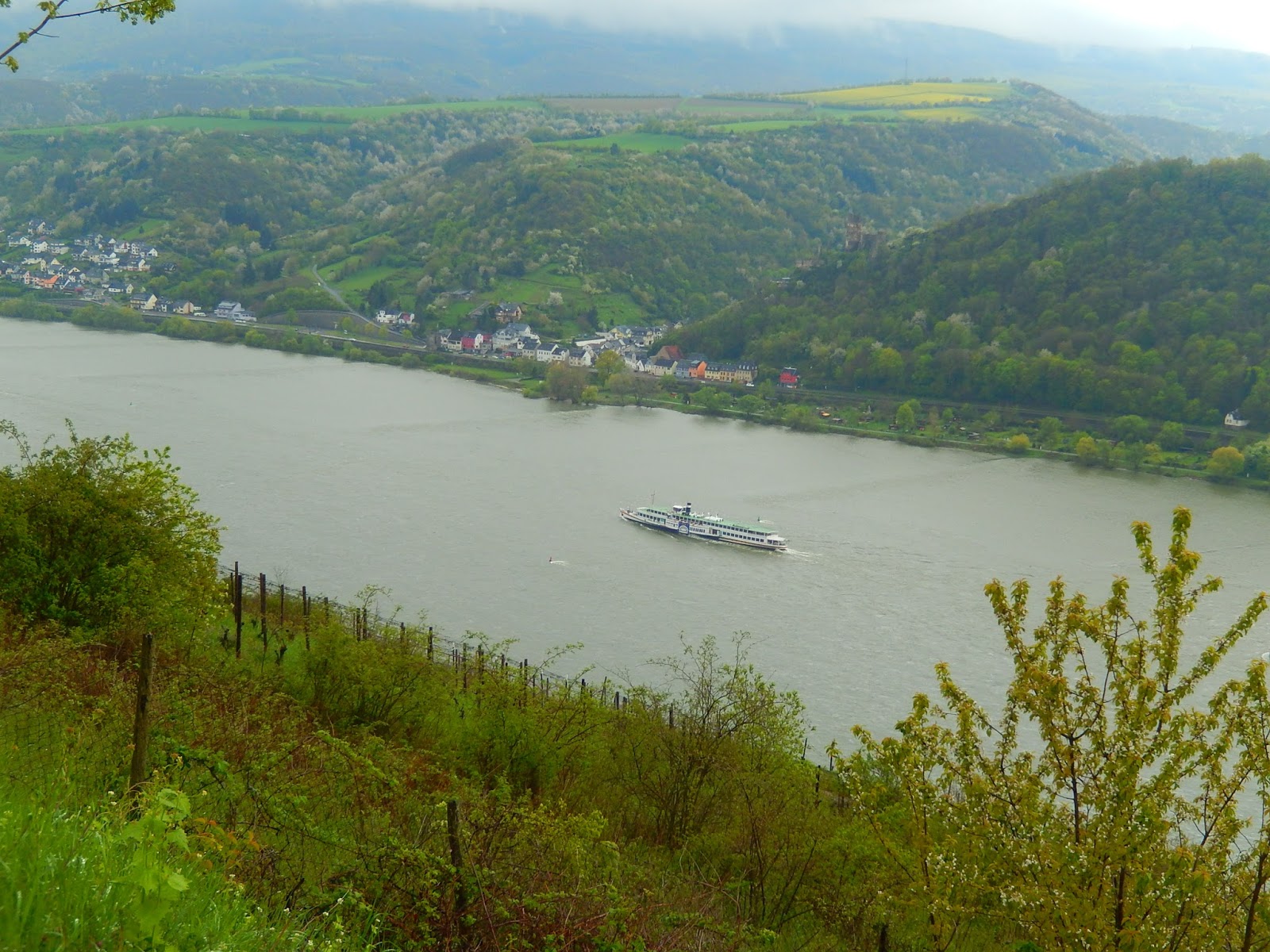 Der Wanderfreund: Wilder Rheinsteig Etappe 15 von Kaub nach Lorch (14,8 km)