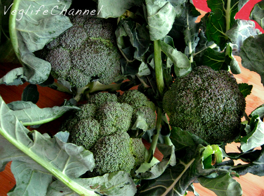 Frutta e verdura di stagione: Inverno - Veglife Channel