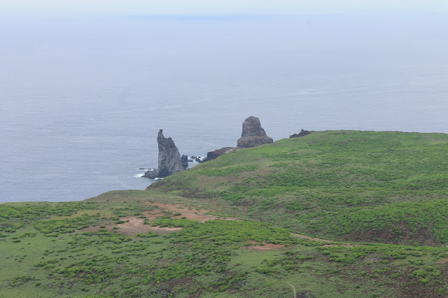 Biodiversidad de "El Bajío Profundo": ISLA CLARIÓN, ARCHIPIELAGO DE ...