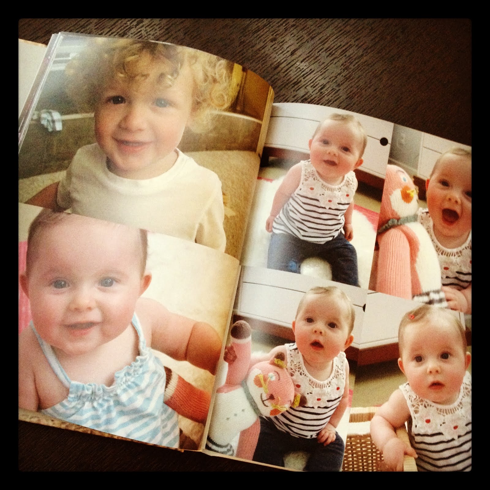 Daisy Dreaming: Family Photo Books