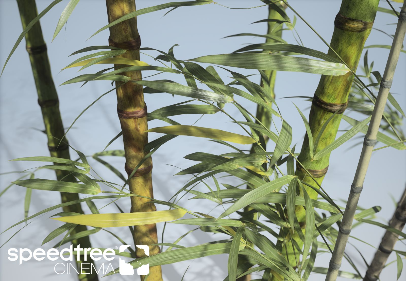 SpeedTree Cinema 8 Out Now | Computer Graphics Daily News