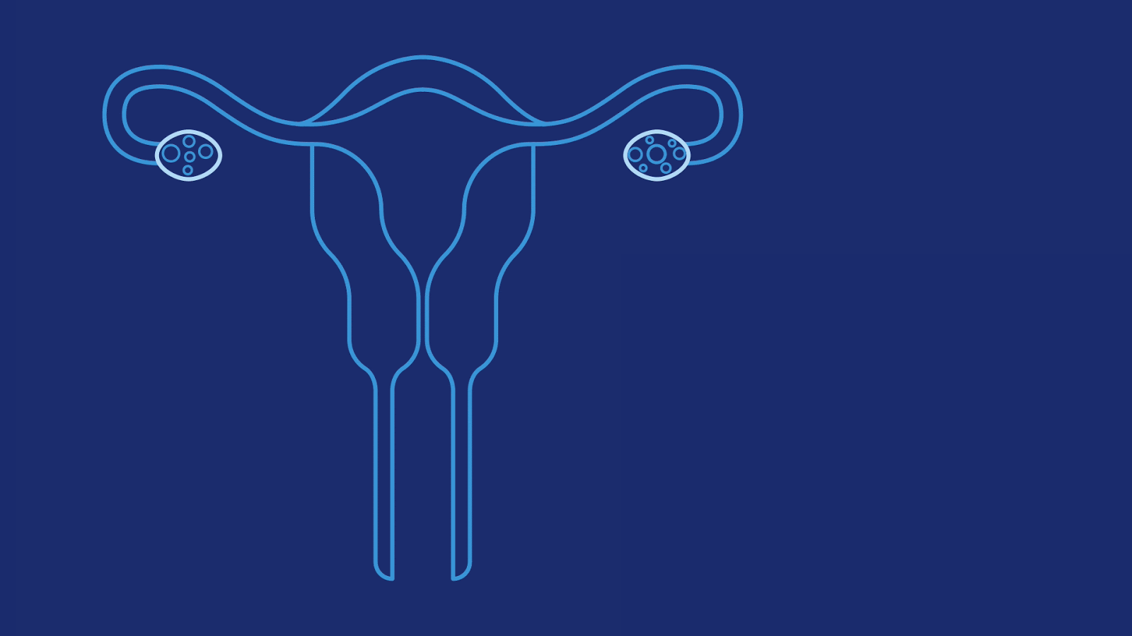 Lucio Flores Ciencia Divertida: La reproducción