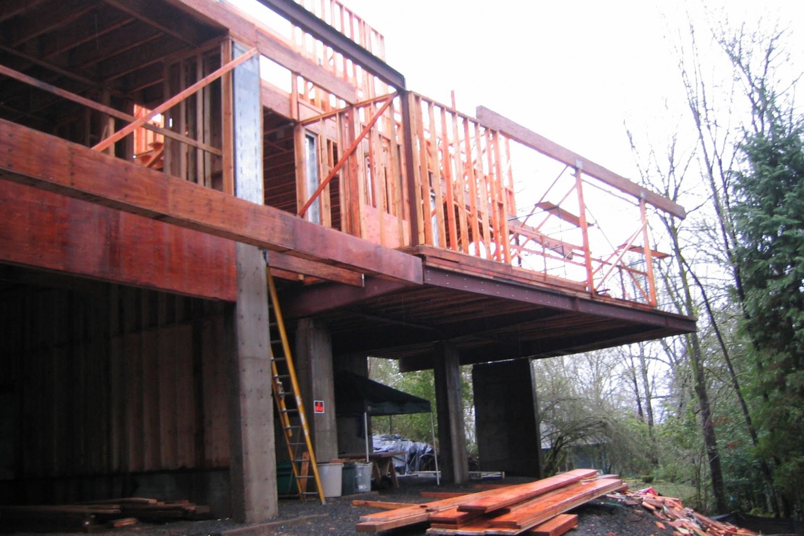 El verdadero nombre y procedencia de "La casa de los Cullen", Saga ...