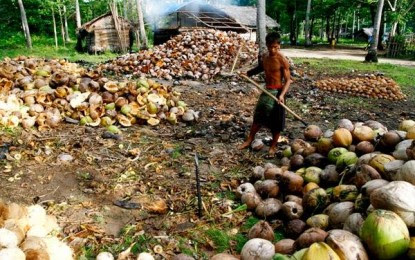 Marinduque Rising: Duterte inks law creating coco levy trust fund