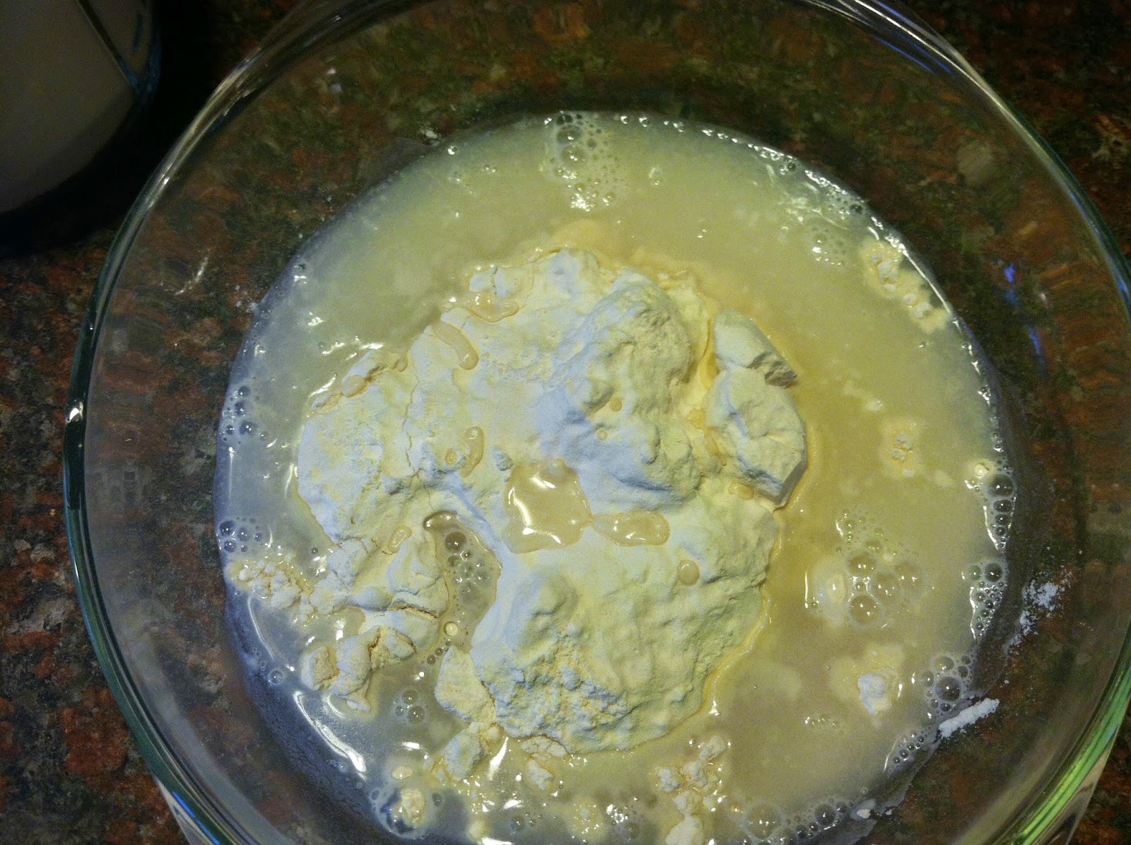 Fermentation Project: November 2014