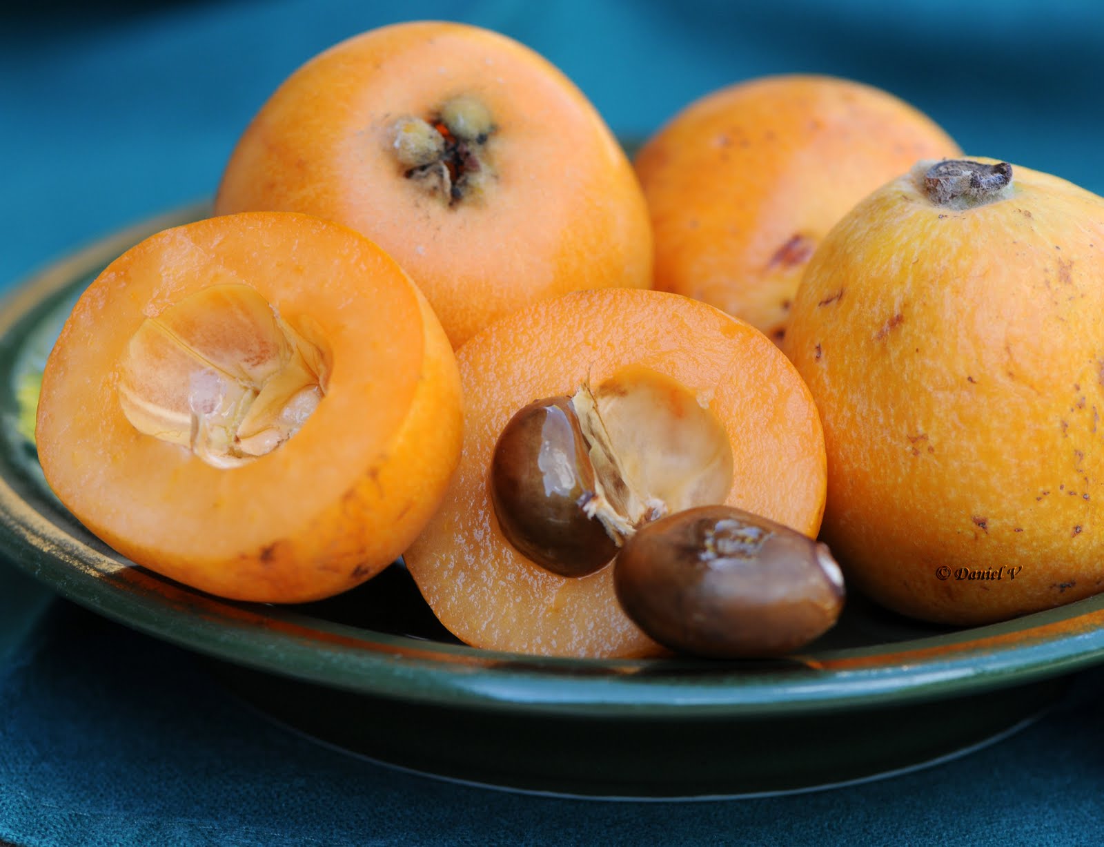 Macrophoto plaisir passion: le néflier du japon, eriobotrya japonica