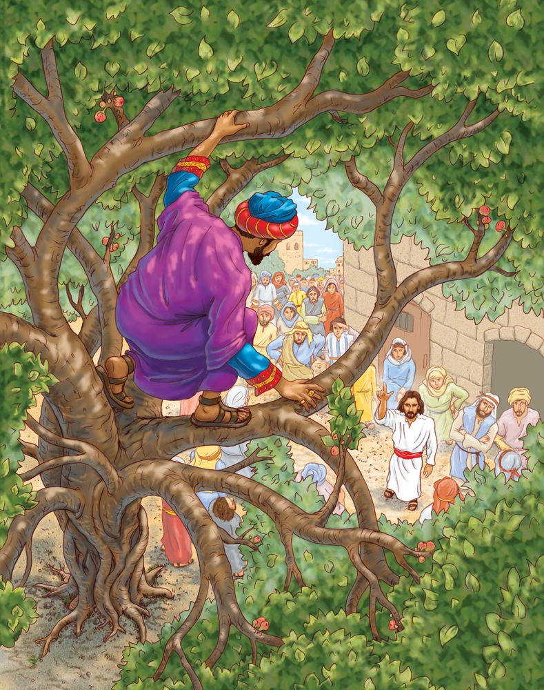 Slice of Pie Cookbooks & Entertaining: Luke Chapter 19 - A Wee Little Man!