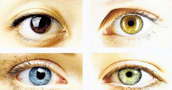 Ahora sé: ¿CÓMO SE DETERMINA EL COLOR DE OJOS DE CADA PERSONA?