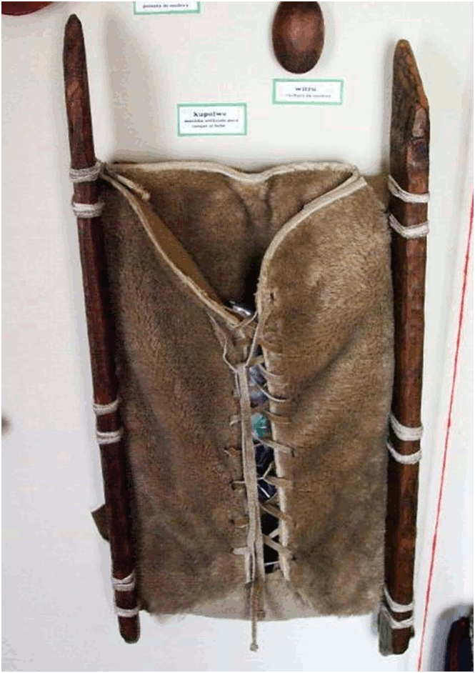 AMIGOS DE BALDOMERO: CULTURA MAPUCHE