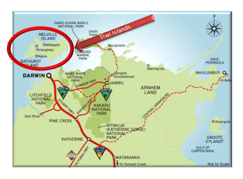 Alluring Adventures: Kiwi on the Tiwi