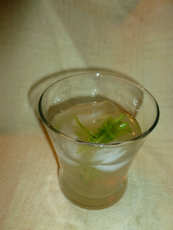 In the Kitchen with Harry Potter: Gillywater