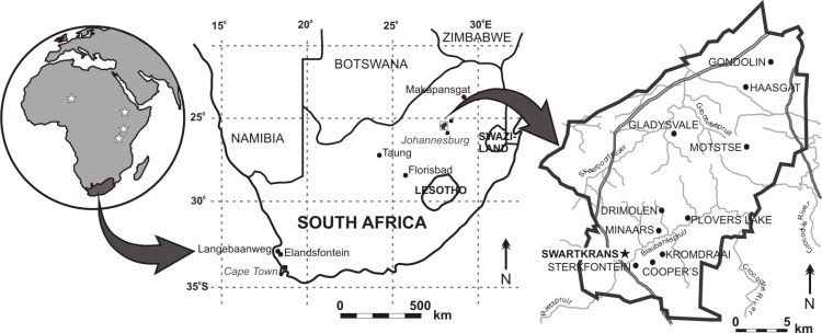 AUSTRALOPITHECUS AFRICANUS: LA ETERNA CONTROVERSIA