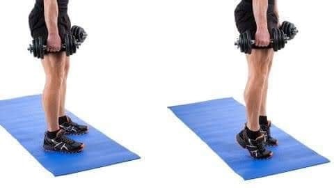 Home Workouts for Posterior Chain Activation || Rehab Spine Centre