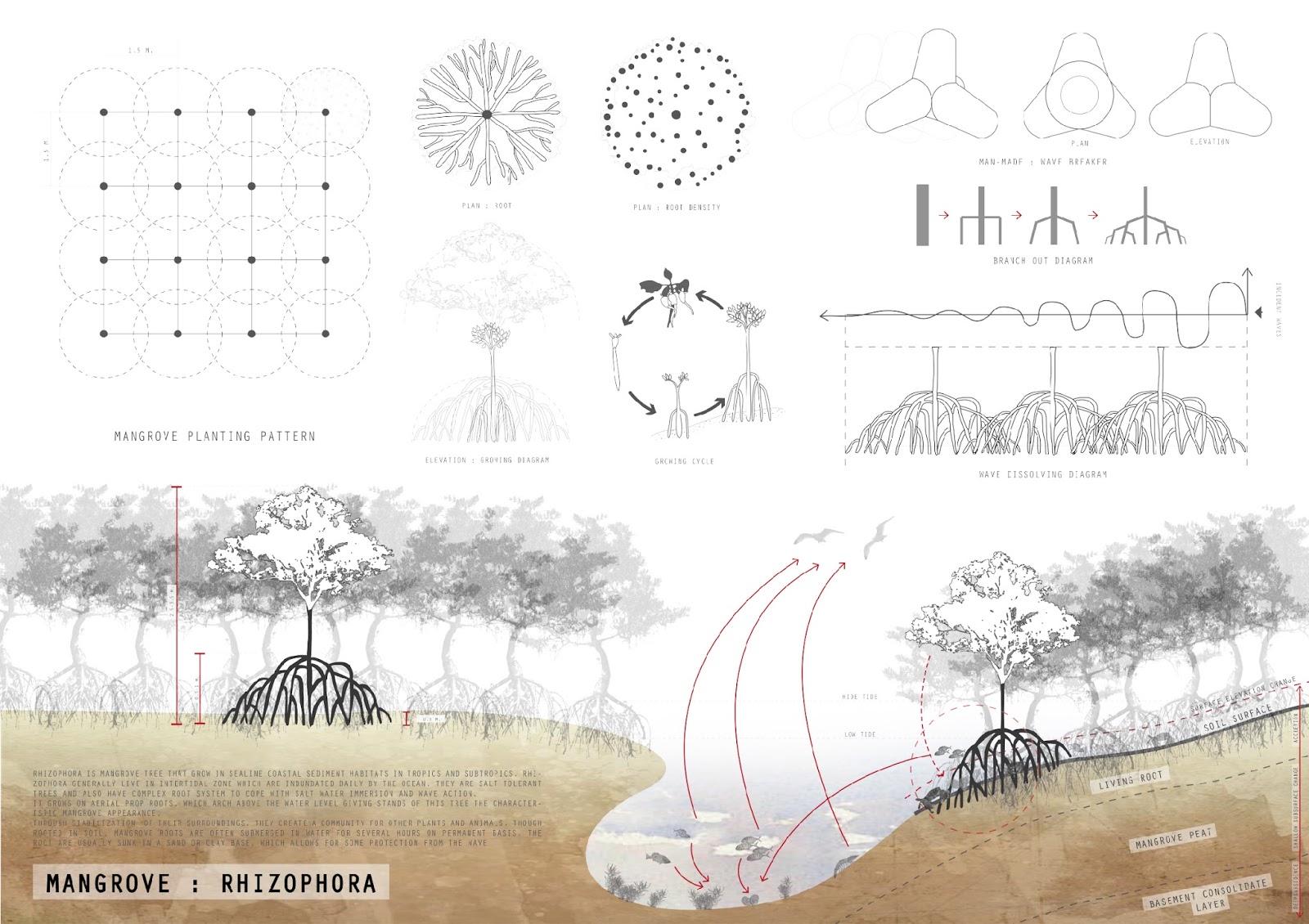 Amphibious Architecture: Technical Analysis of Mangrove Forest ...