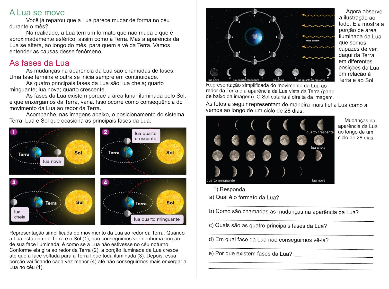Professora Vilma Ribeiro: Os movimentos da Terra: Translação e Rotação ...
